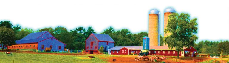 Home - Hornstra Farms